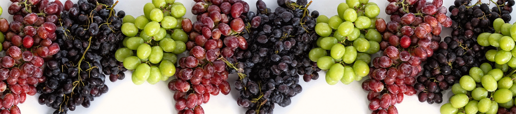 Grapes – Agrolatina